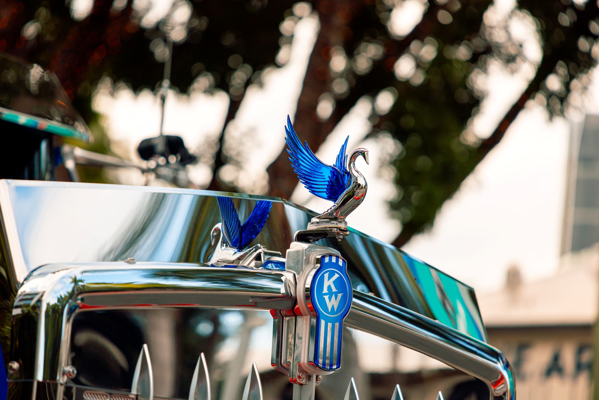 Epic Show ‘N’ Shine image Gallery! - Brisbane Truck Show